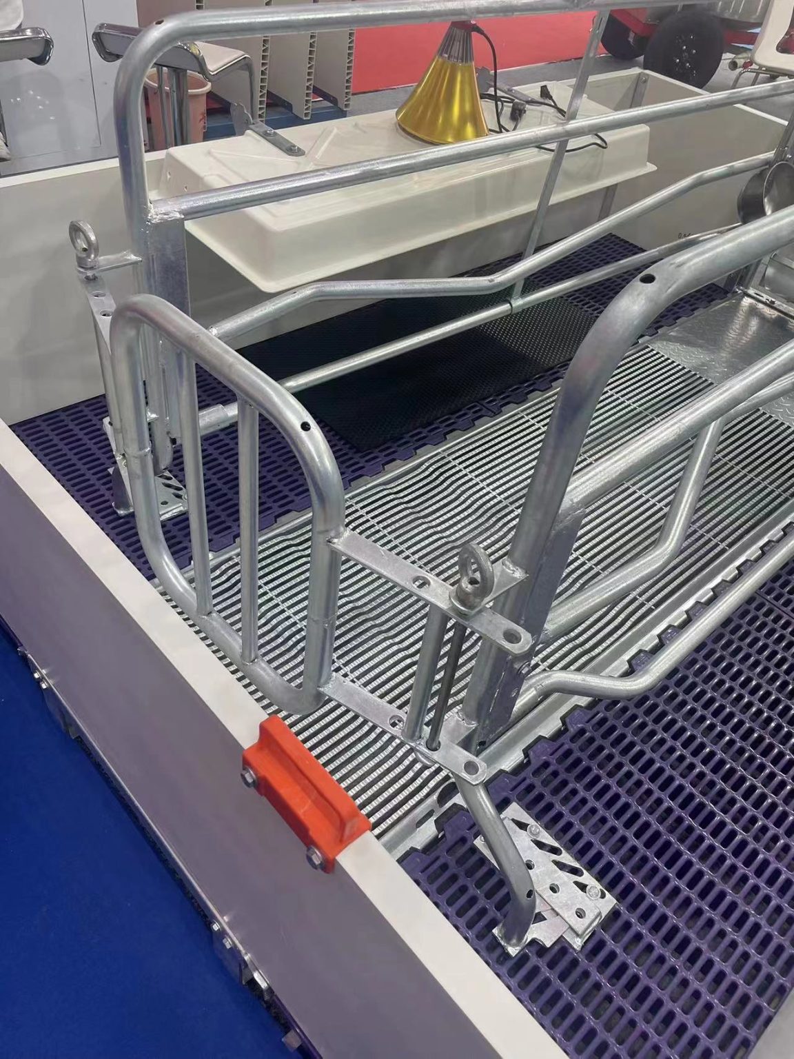 European style Sow Gestation Pen – Pig Farm Equipment Manufacturer