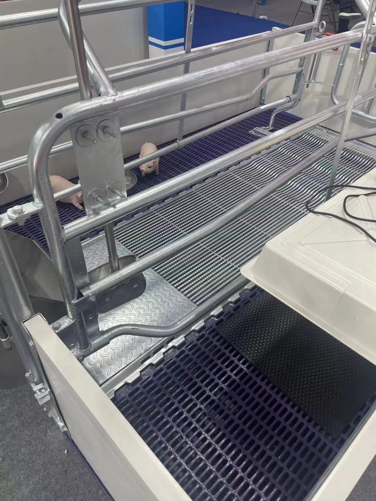 European style Sow Gestation Pen – Pig Farm Equipment Manufacturer